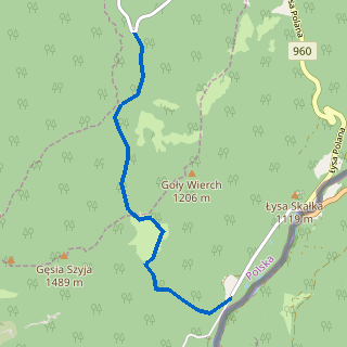 Polana Palenica - Zazadnia - Szlaki turystyczne Małopolski