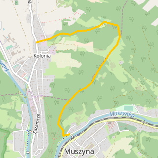 Muszyna - baza namiotowa - Muszyna Złockie - Szlaki turystyczne Małopolski